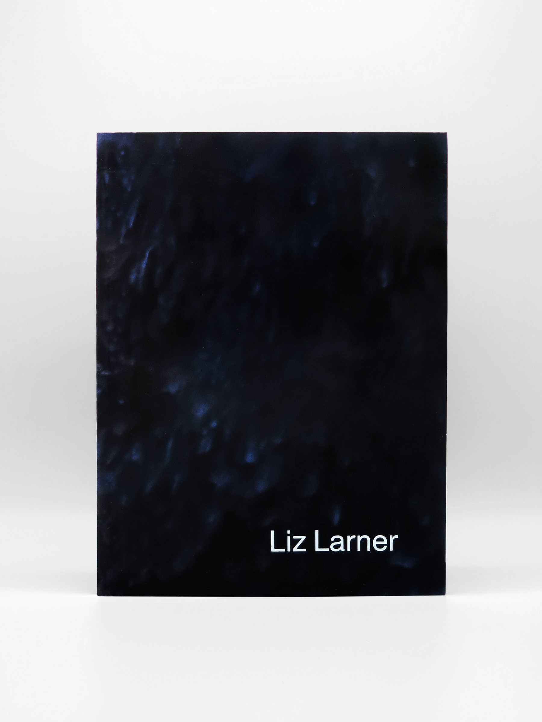 Liz Larner, Liz Larner | KARMA Bookstore
