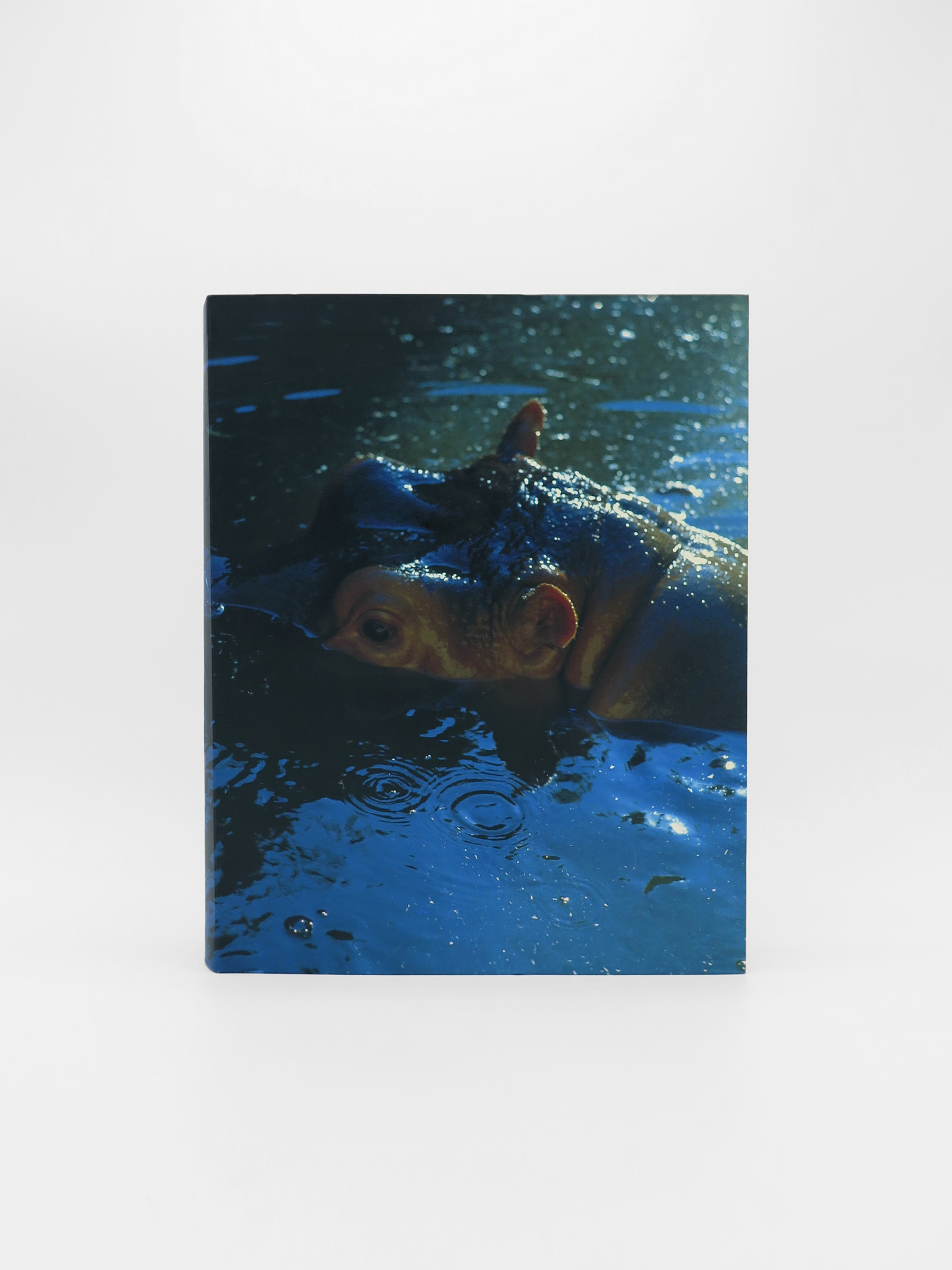 Peter Fischli, David Weiss, Visible World | KARMA Bookstore