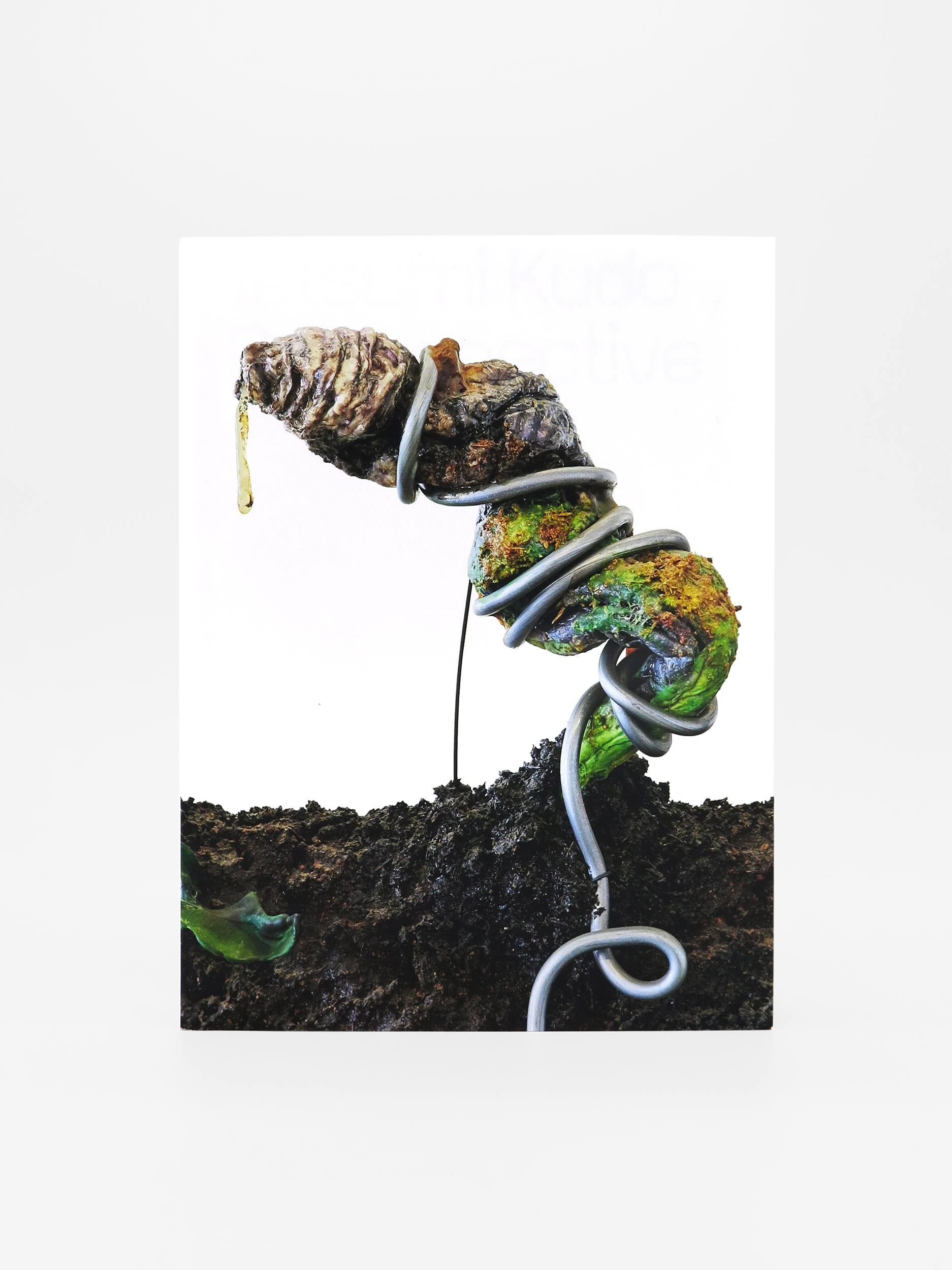 Tetsumi Kudo, Retrospective | KARMA Bookstore